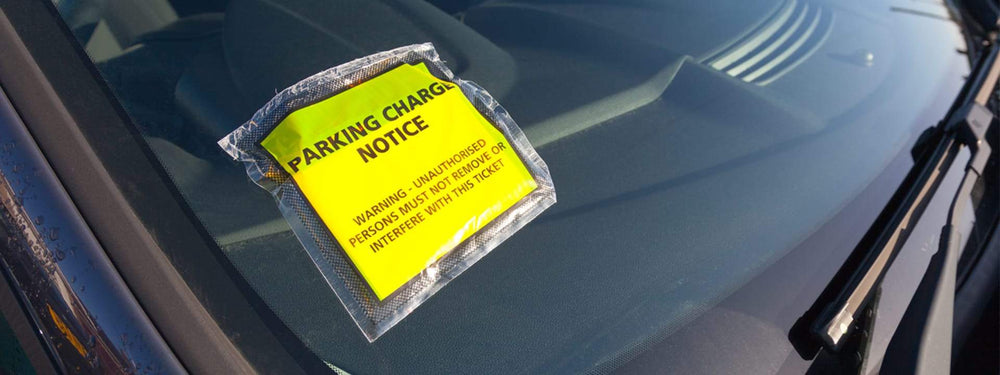 5 Must-Have Professional Car Detailing Products | Turtle Wax | Page 7 ...